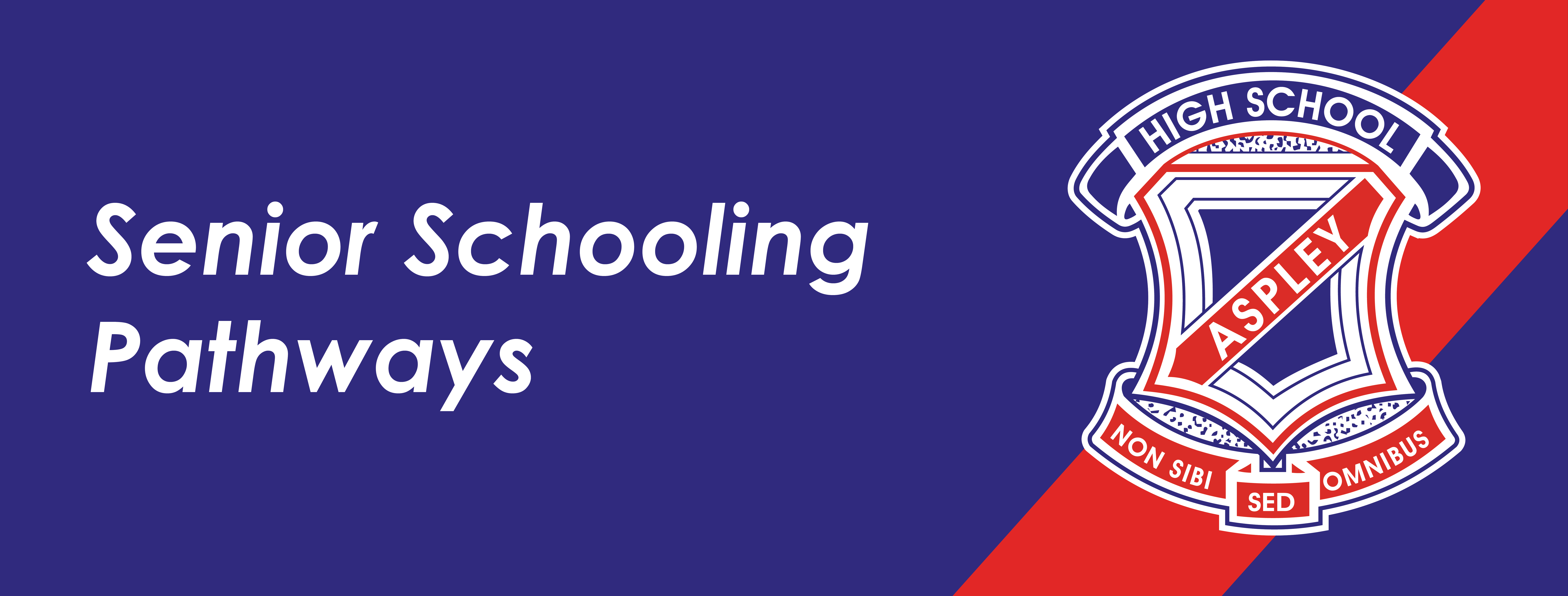 Senior Schooling Pathways