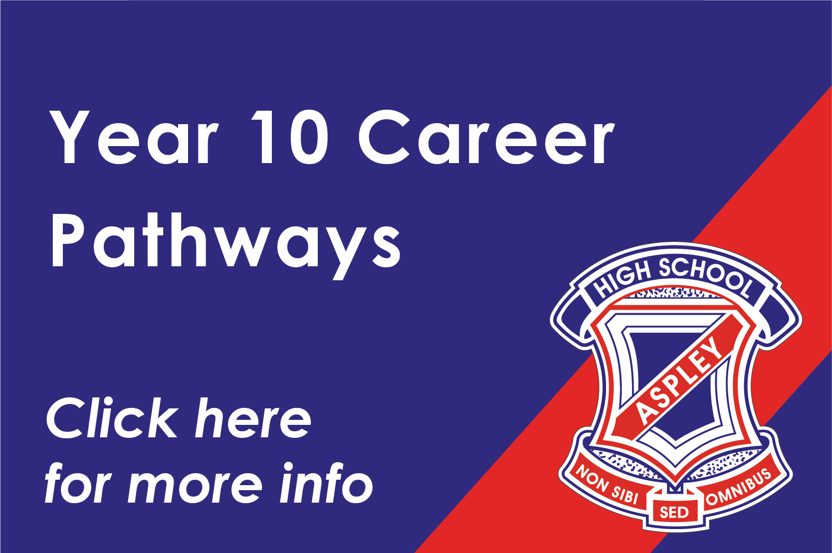 Senior Schooling Pathways